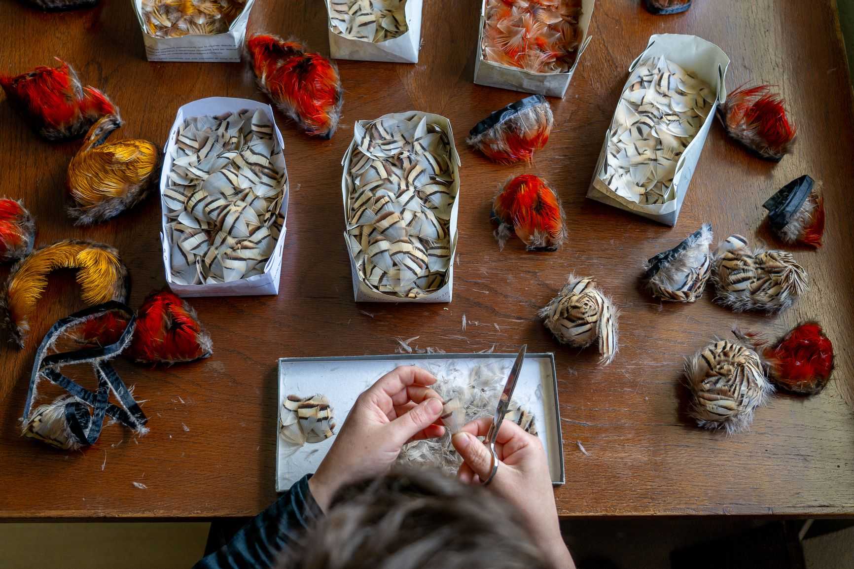 Henar Iglesias: The Majesty of Feathers – Spain for Design